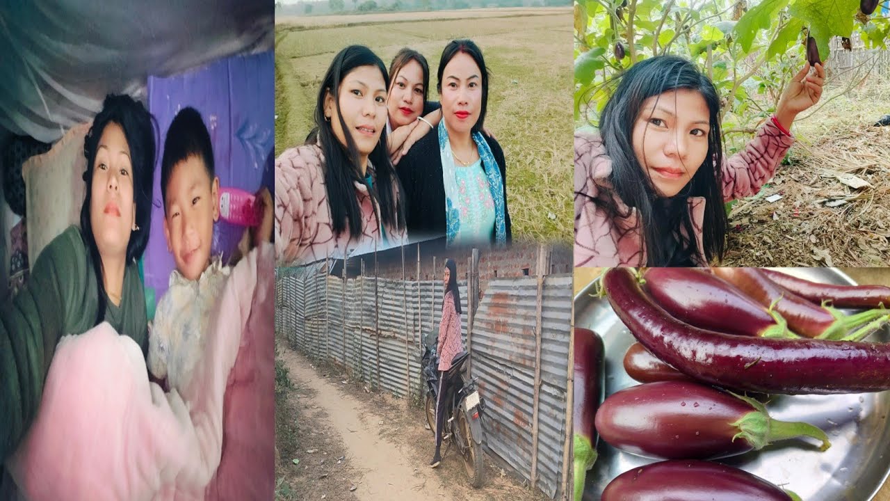 Phatok twmaswk habai lang kolok jat bu kiting jat bu 😋 Bike drive khy ...