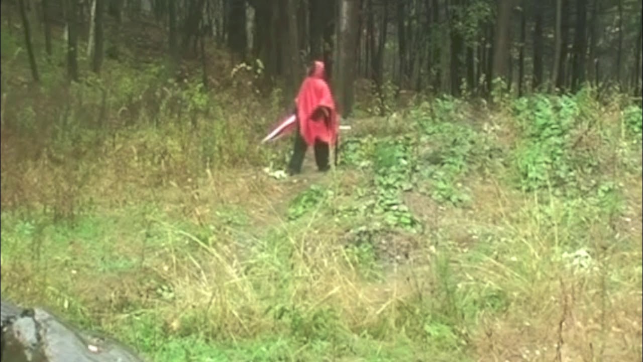 SEATTLE WASHINGTON BIGFOOT - CAUGHT ON TRAIL CAMERA - YouTube