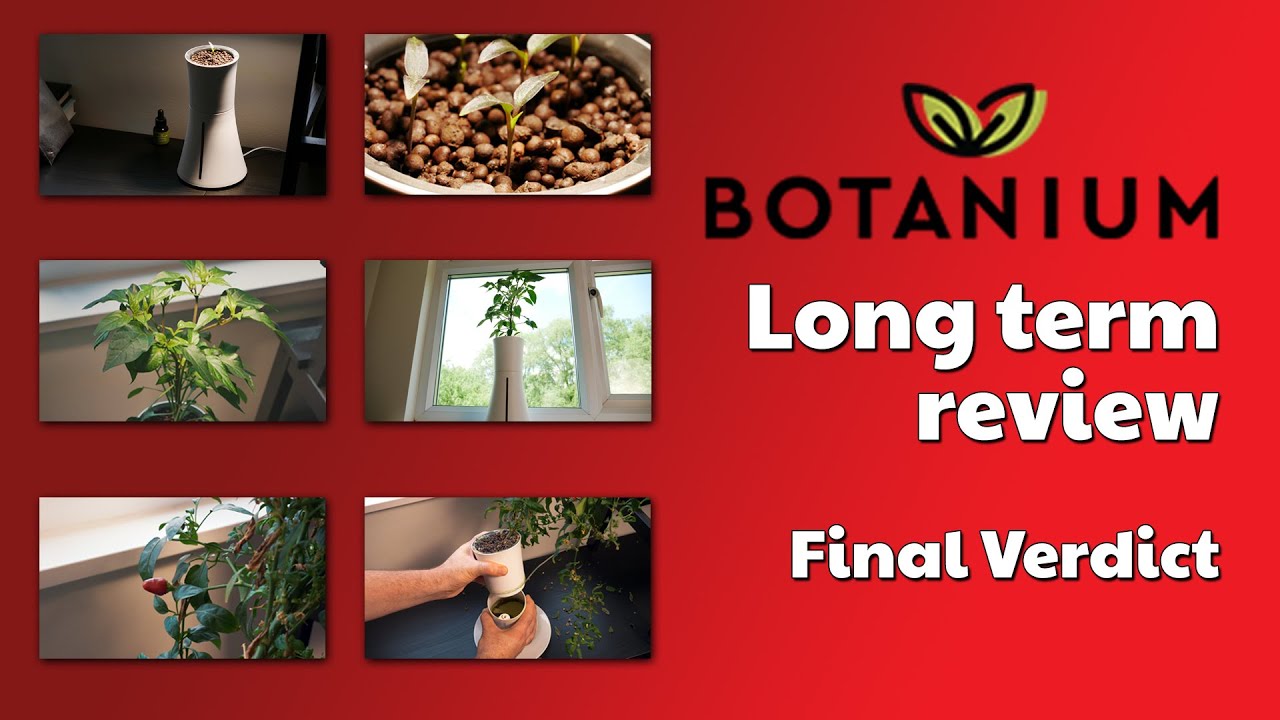 Botanium. Long term review: Final Verdict - YouTube
