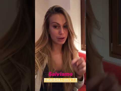 TAYLOR MEGA 20 02 2019 INSTAGRAM STORIES VIDEO