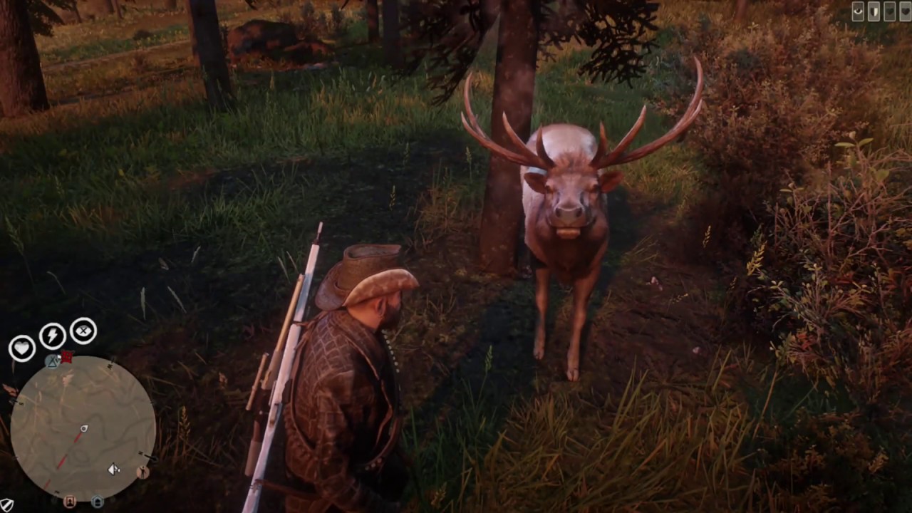 ***PERMANENT SOLO LOBBY!!!*** - UNLIMITED FAST ANIMAL SPAWNS - RED DEAD ...