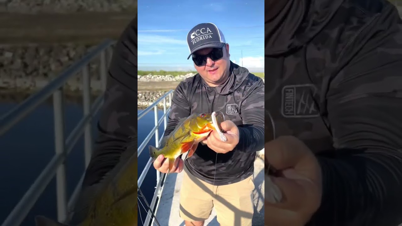 Once the fish see the recoil, it's over! - YouTube