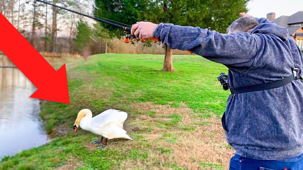 I Caught a GOOSE While Fishing! (with @KickinTheirBASSTV ) - YouTube