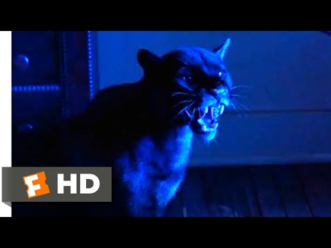 Cat People (1982) - Were-Leopard Attack Scene (7/10) | Movieclips