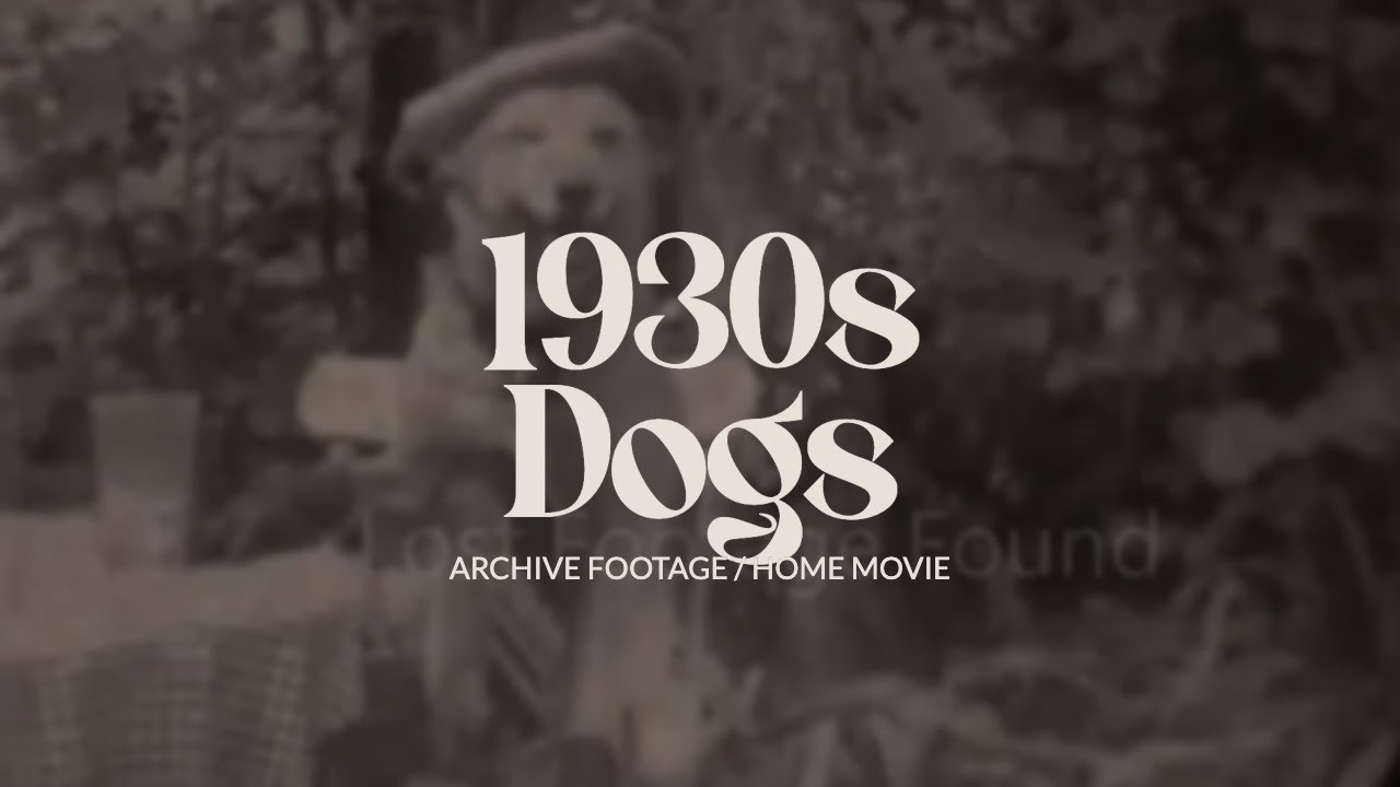 Archive footage of Dressing up dog in clothes in the 1930s (Pathé ...