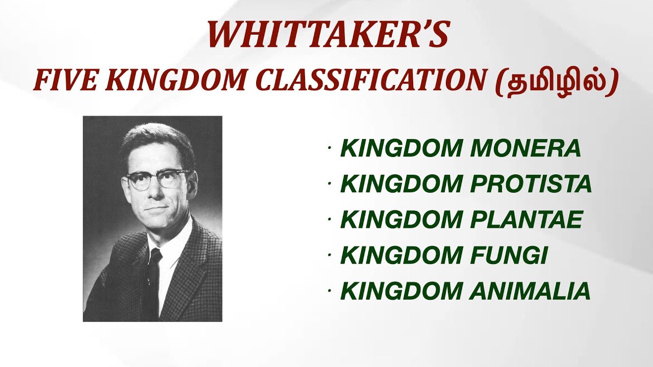 Whittaker's five kingdom classification / Monera, Protista, Plantae ...
