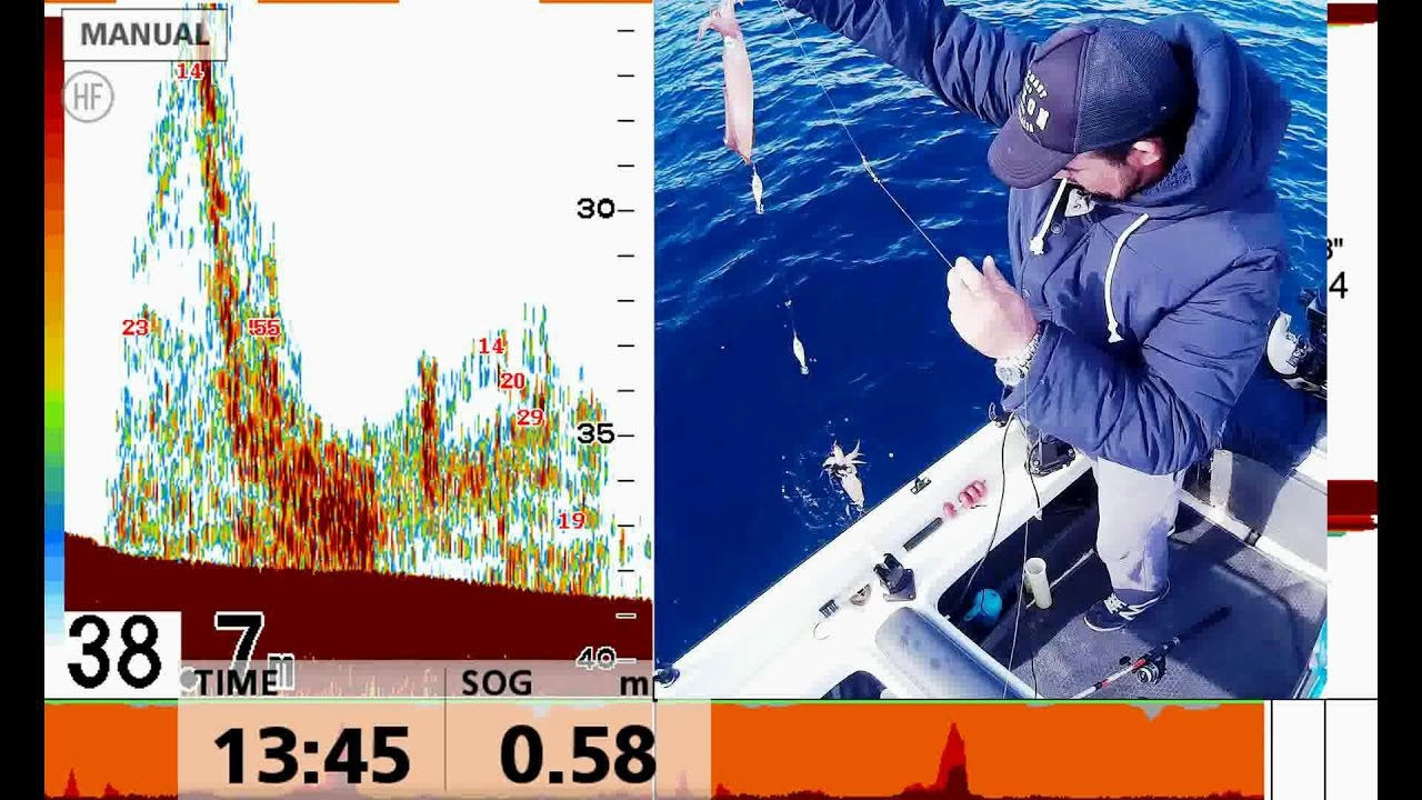 Καλαμάρια στην Οθόνη(Ψαρεμα)... Squid on the Screen(fishing) - YouTube