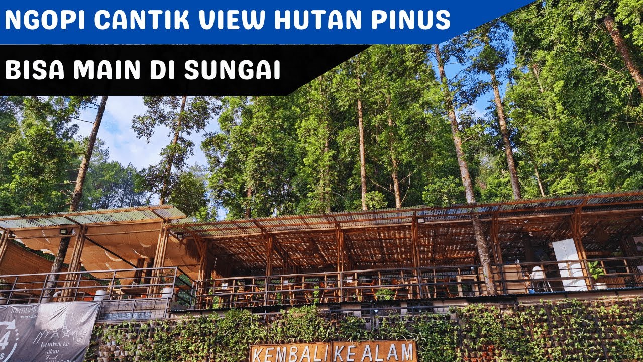 CAFE VIRAL DI PUNCAK BOGOR | CAFE KEMBALI KE ALAM BUKA 24 JAM - YouTube