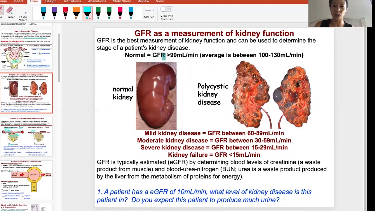 Understanding Glomerular Filtration Rate (GFR) - YouTube