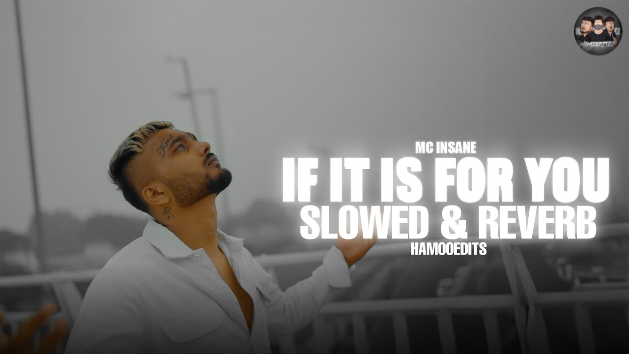 MC Insane - If it is for you ( Slowed And Reverb ) | The Heal Album ...