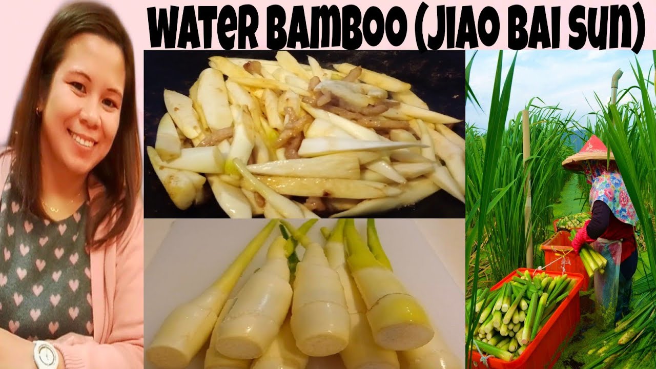 water bamboo ( jiao bai sun) - YouTube
