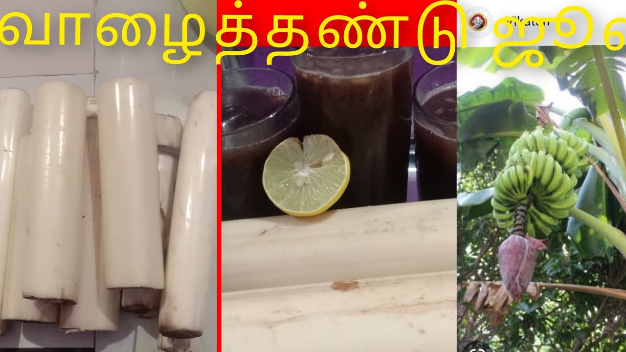 valaithandu juice recipe.in.tamil. வாழைத்தண்டு ஜூஸ் போடுவது எப்படி ...