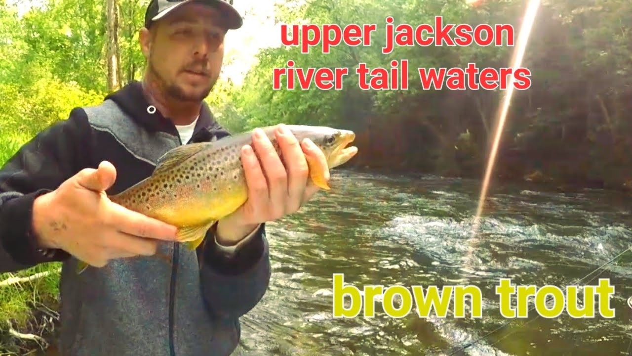Fishing the upper [ jackson river ] Tail water. Brown trout. Part 2 ...