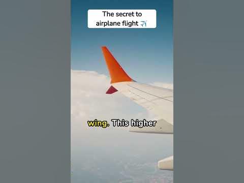 How do airplanes stay in the air? The science behind it - YouTube