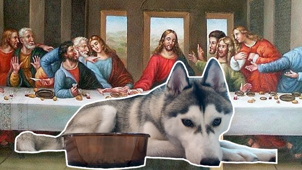 Pray Before You Eat | Siberian Husky Prays - YouTube