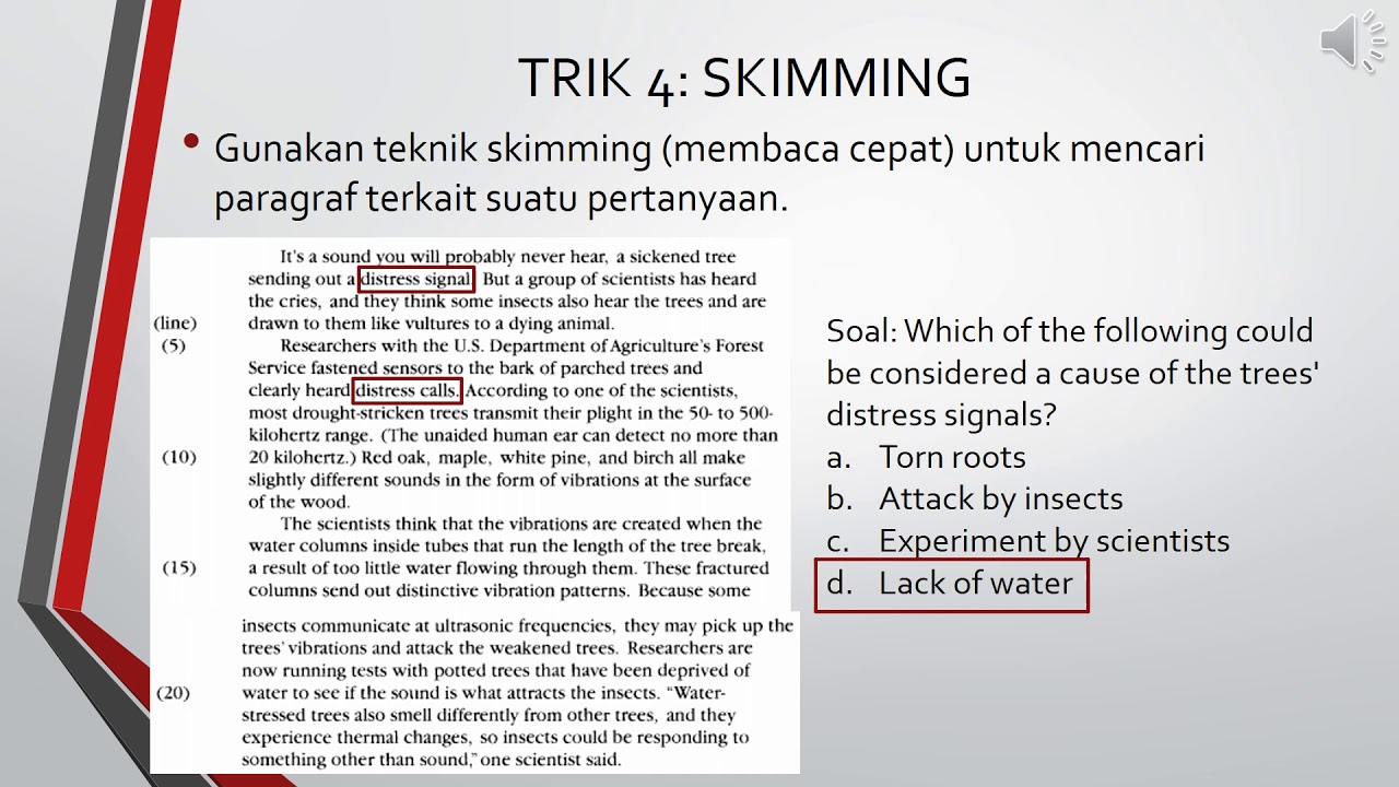 Trik Ampuh Reading TOEP - YouTube