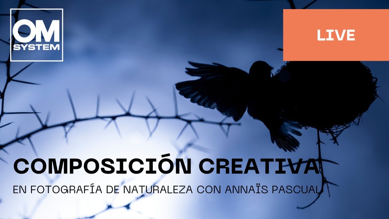 Spanish | Composición creativa con Annaïs Pascual - YouTube