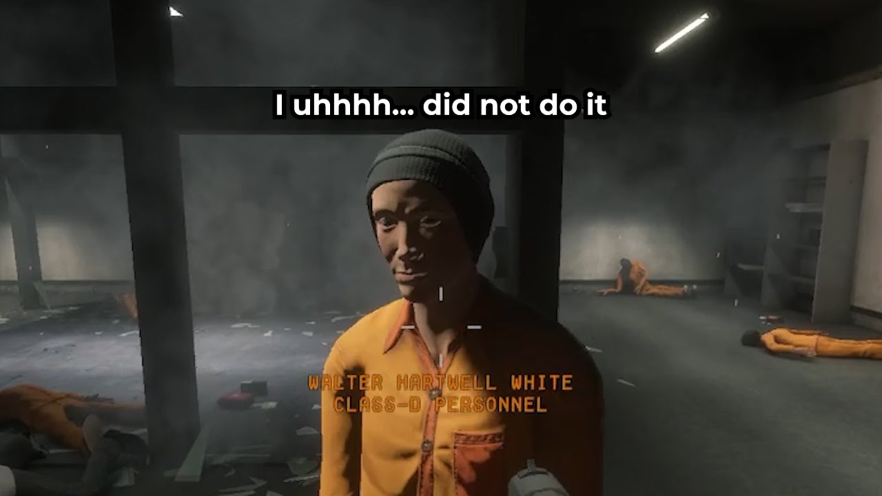 What The Hell Did This Dclass Do Scpsl Funny Moments Youtube 7965