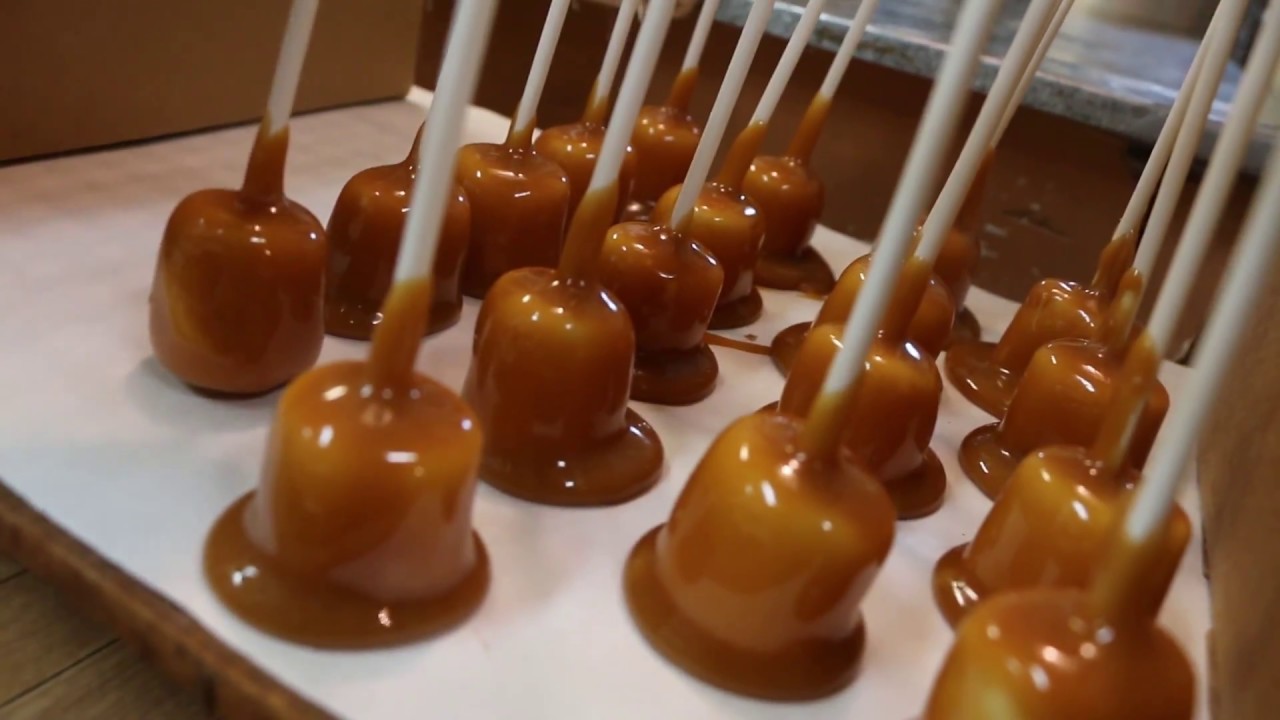 How To Make a Turtle Pop - YouTube