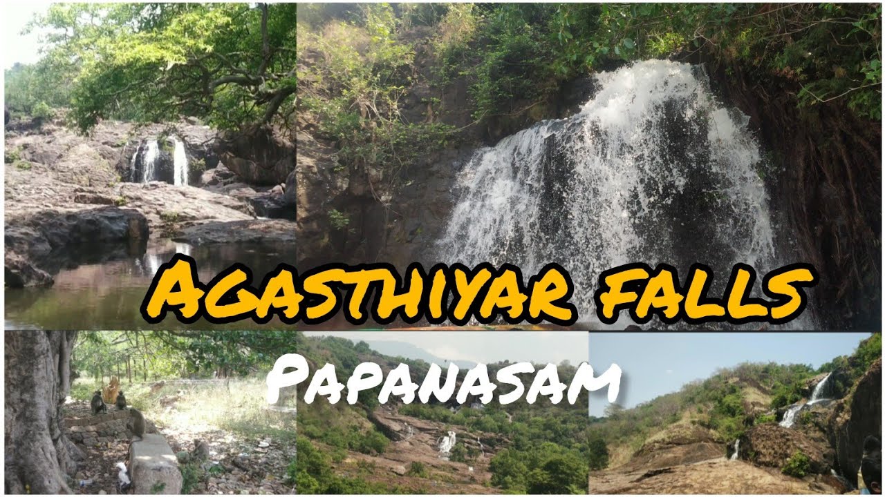 Agasthiyar falls papanasam | Thirunelaveli water falls - YouTube