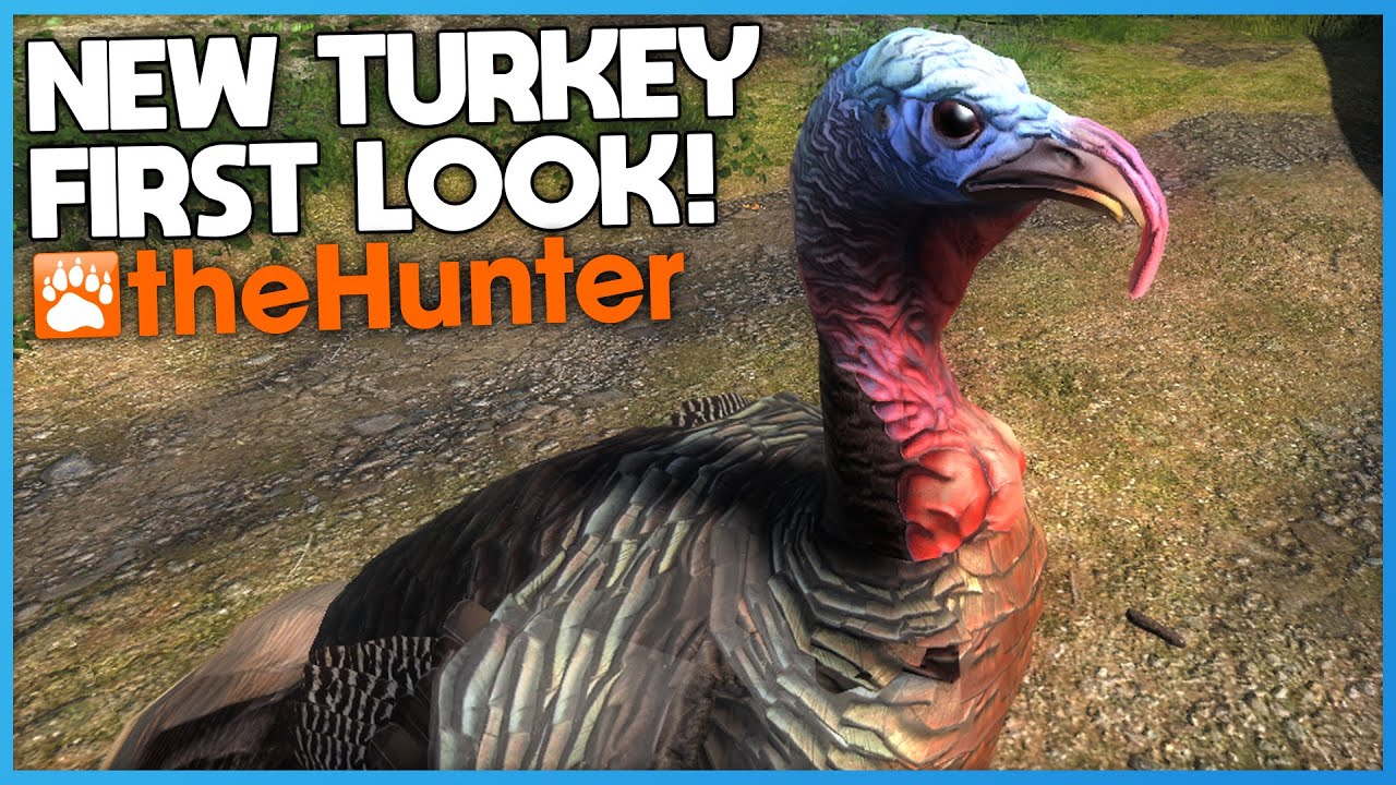 New Turkey Models First Look! | theHunter Classic - YouTube