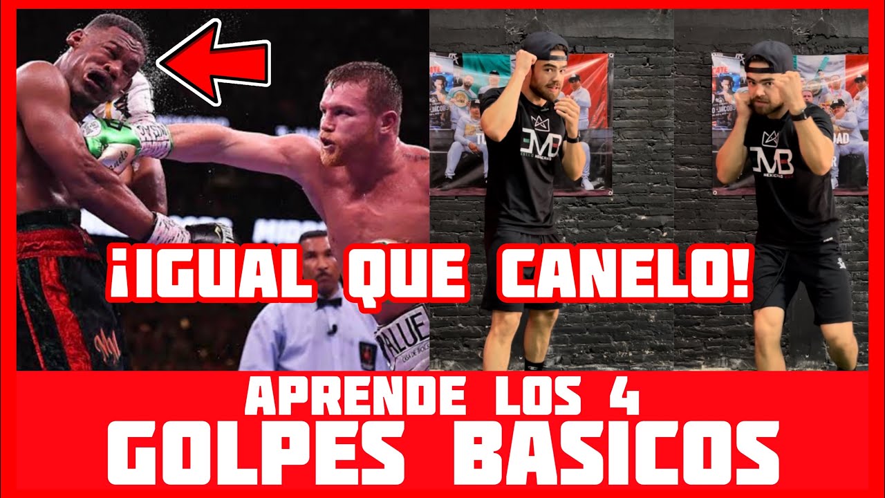 ¡IGUAL que Canelo! APRENDE y UTILIZA de manera correcta los 4 GOLPES ...