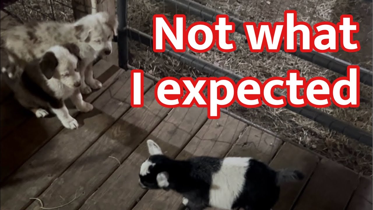Almost a disaster, but why? - YouTube