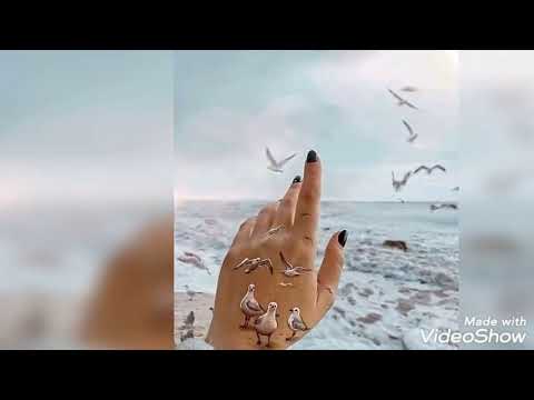 شيخة لجنية على جلك نبات نسكر