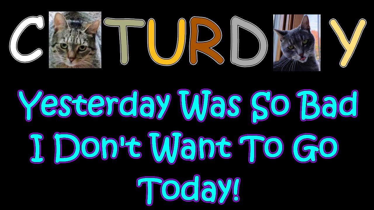 Caturday - Yesterday Was So Bad... - YouTube