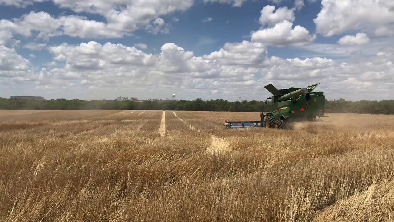 Harvest 2020 - Texas - YouTube