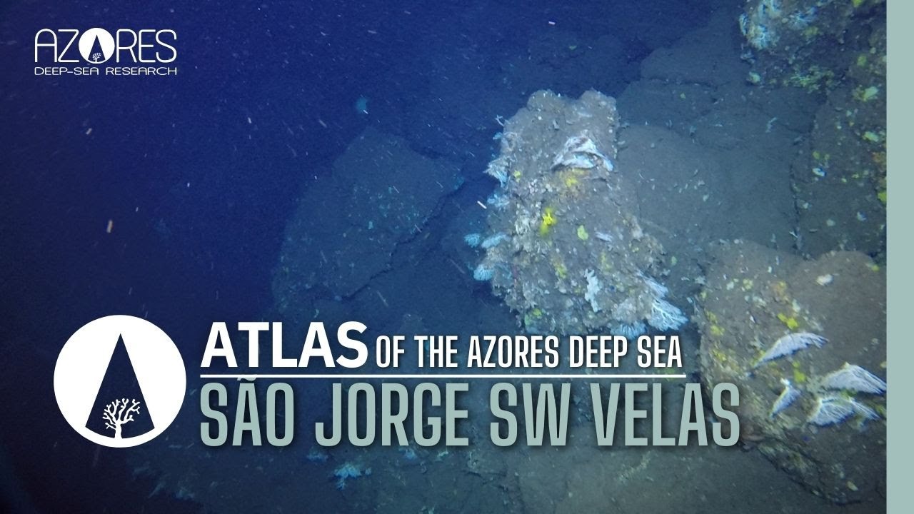 São Jorge SW Velas Island Slope | ATLAS of the Azores deep sea - YouTube