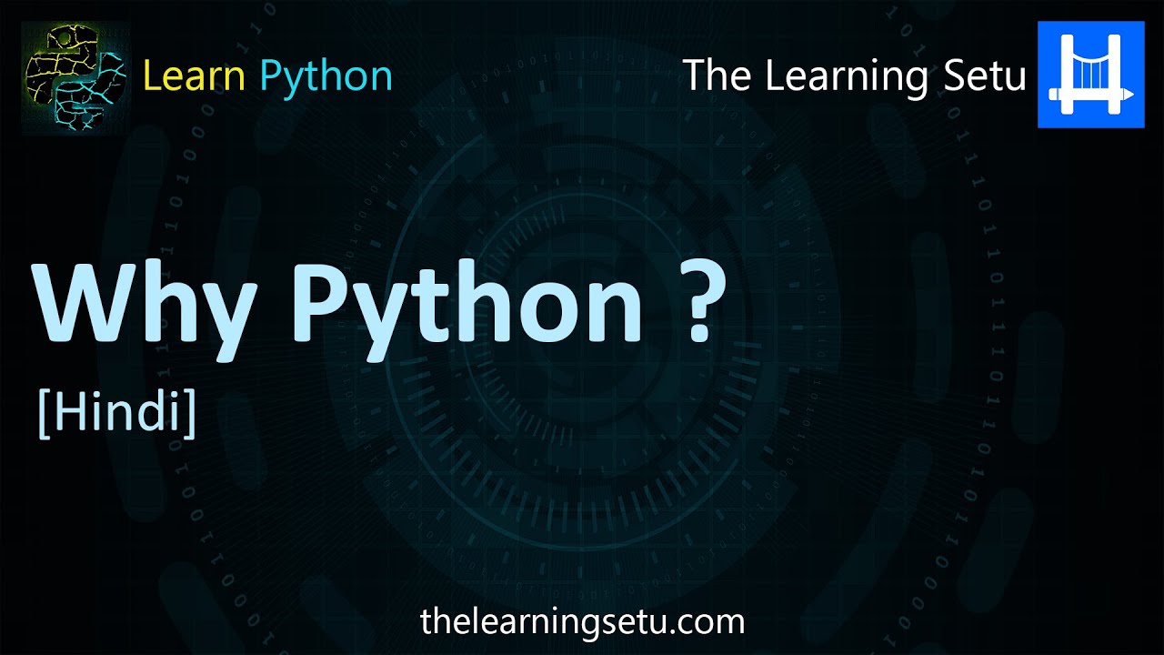 Why should you learn python ?(Hindi) | The Learning Setu - YouTube
