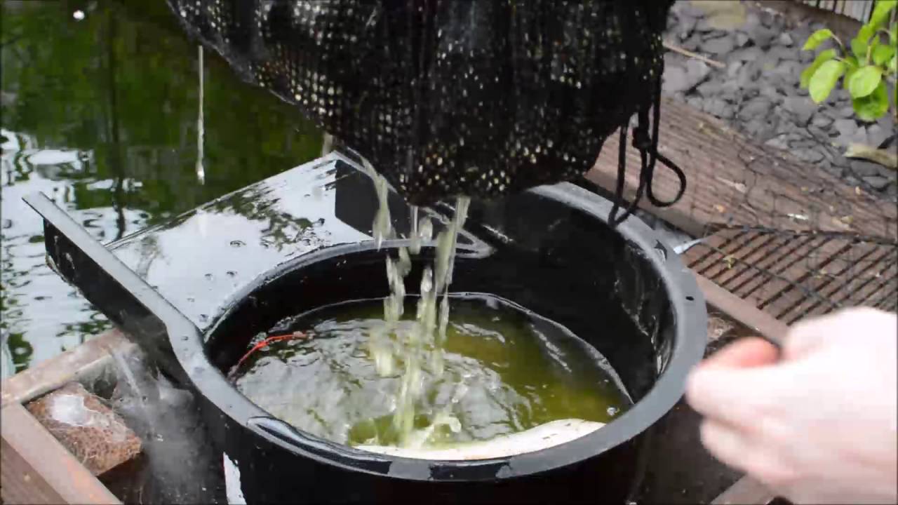 Wooden Goldfish Pond - 22-05-16 - YouTube