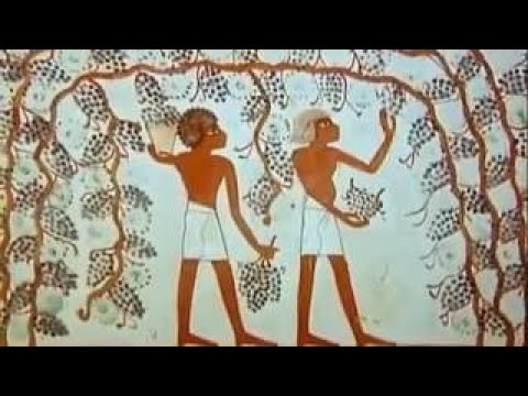 Documentary | Real Life in Ancient Egypt Documentary on How the Ancient ...