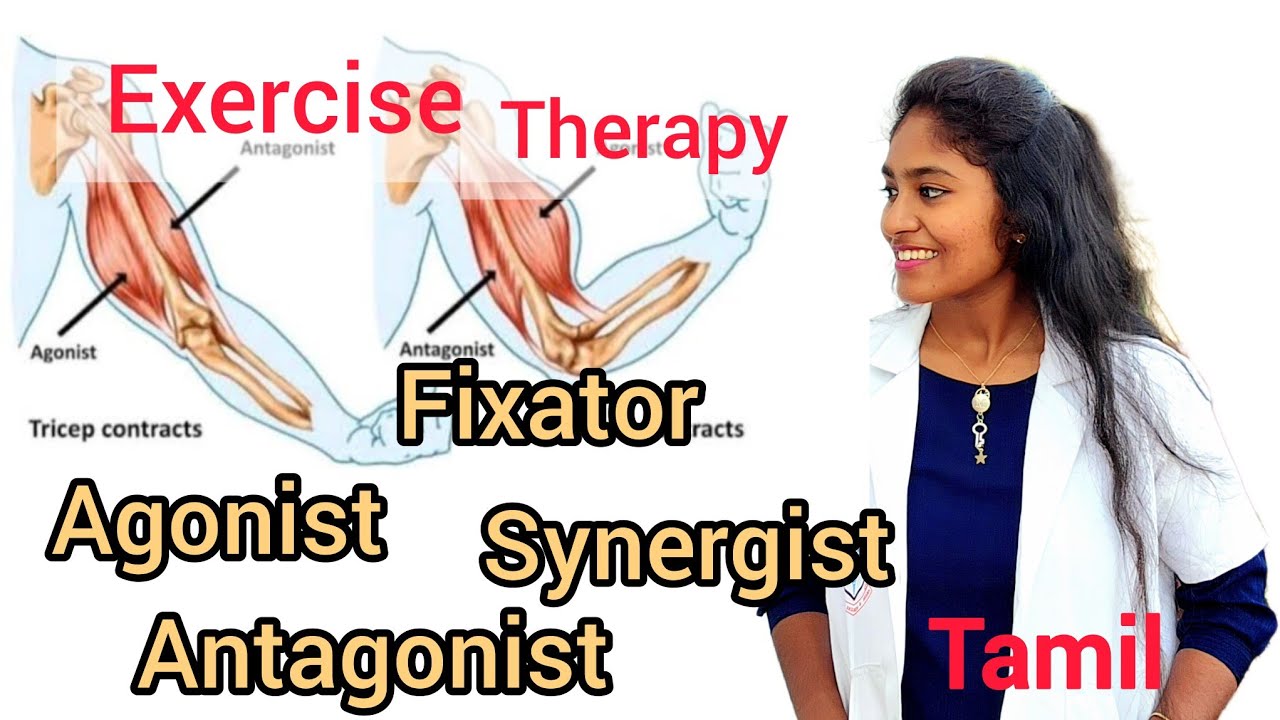 exercise therapy | group of muscle action in tamil | agonist ...