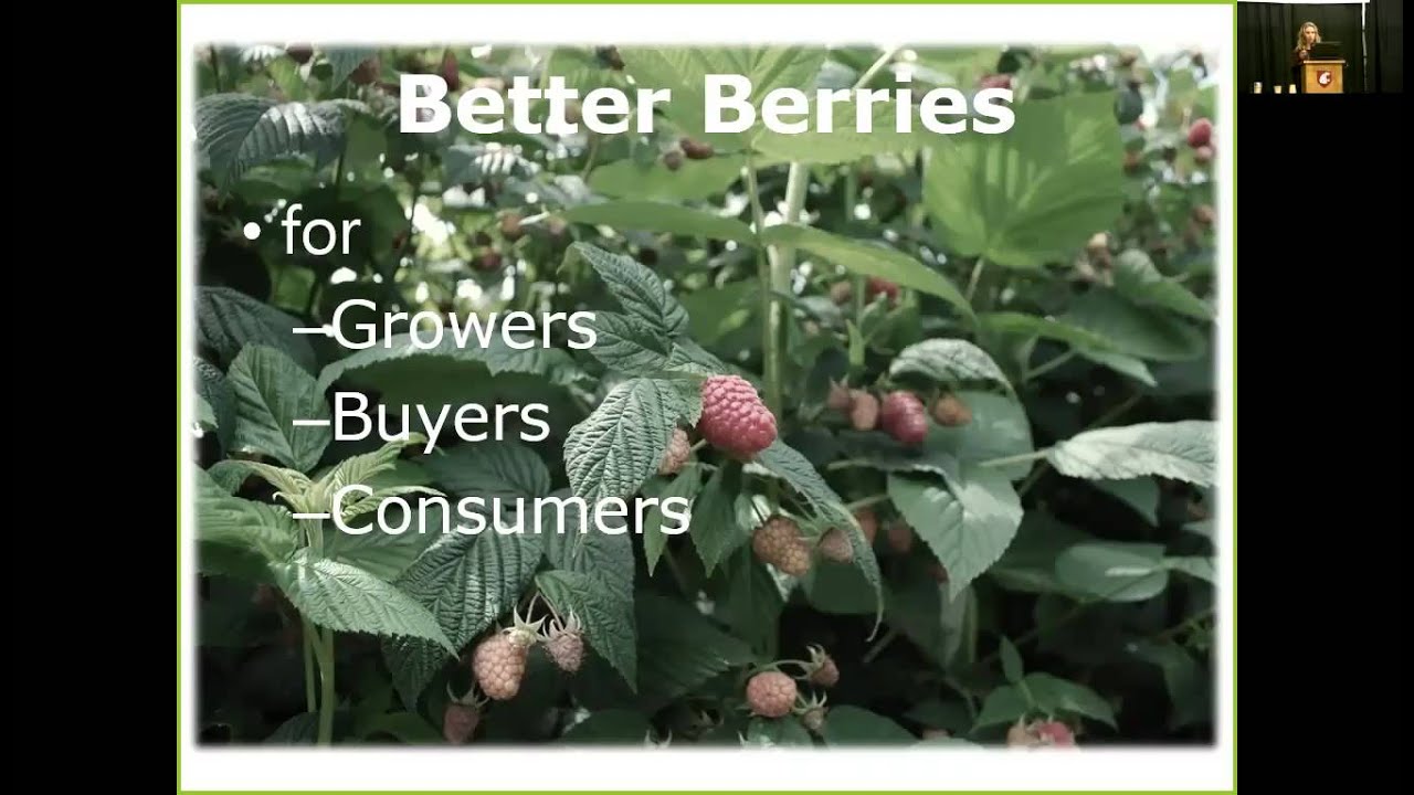 Northwest Plant Company, Julie Enfield NWP - YouTube