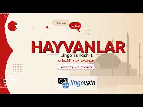 lingo turkish 1 vocab 19 Hayvanlar