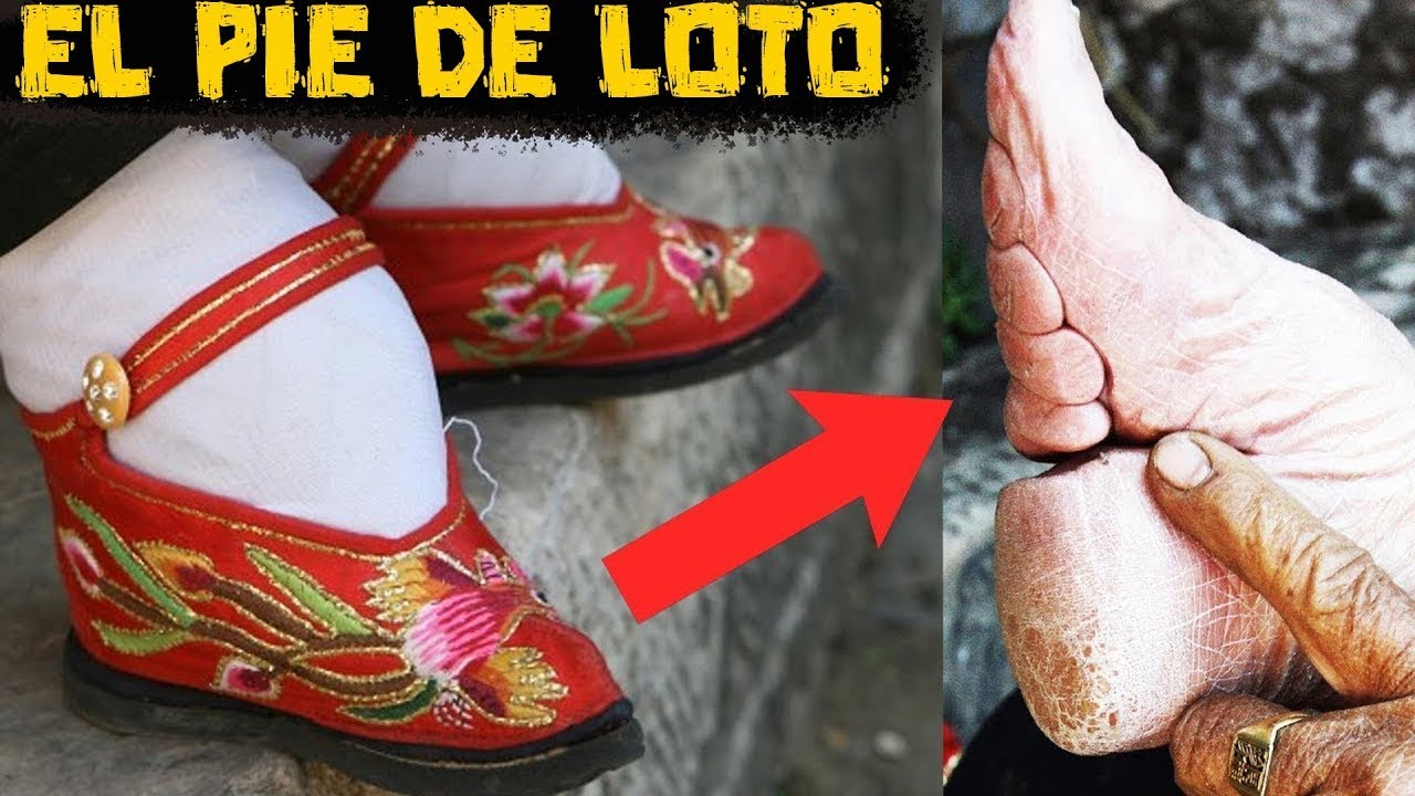 ¿Habías escuchado de los pies de loto? 👣🌺🌸💮 #curiosidades # ...