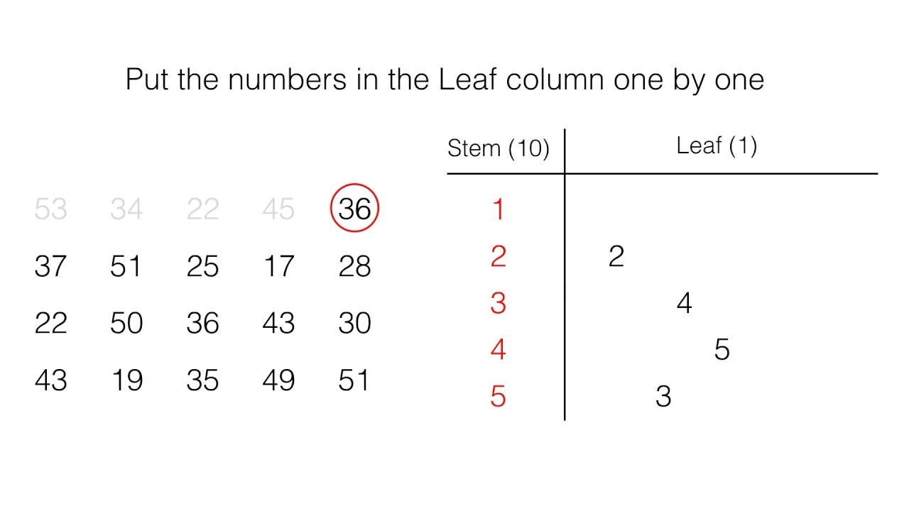 13 2f Stem and Leaf Diagram Explained Large Amount Of Data YouTube 13 2f Stem and Leaf Diagram Explained Large Amount Of Data YouTube