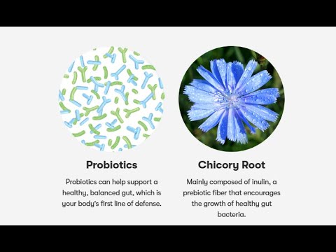 Balance Within Probiotic Nutrilite - YouTube
