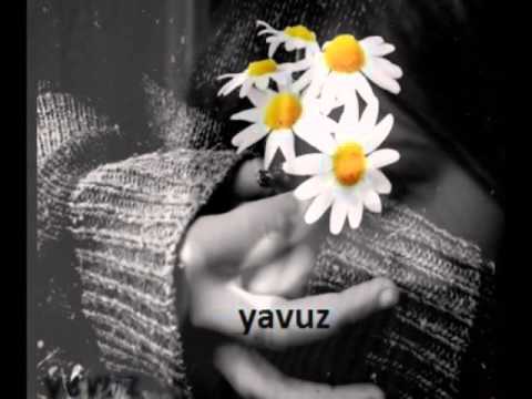 YAVUZ BAŞAR -CANIMINİÇİ BİTANEM
