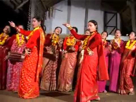bhailo tihar - YouTube