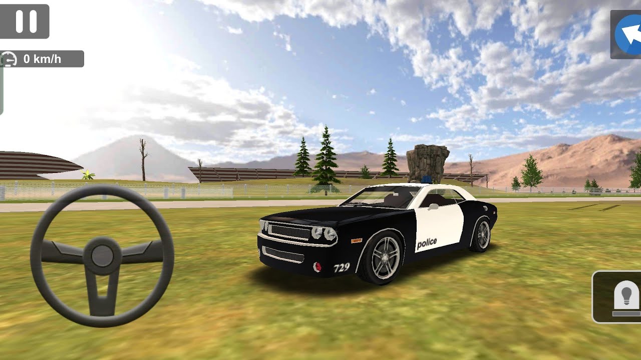 Police Racing Car Driving Top Speed Racing India Road BMW Lamborghini ...