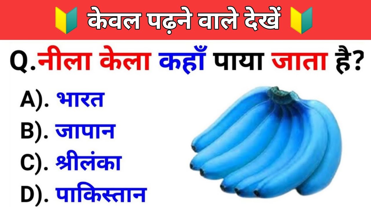 Top Gk Questions 2023 | Gk Questions And Answers | GK Question | GK ...