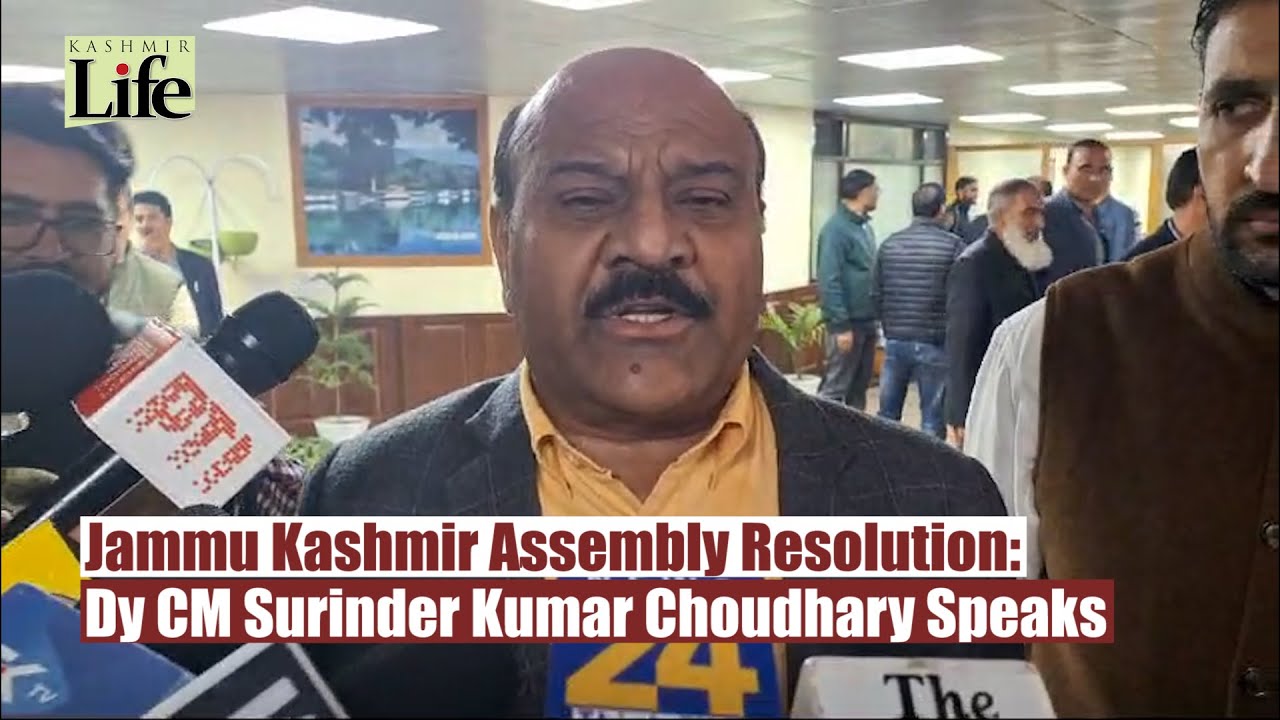Jammu Kashmir Assembly Resolution Dy CM Surinder Kumar Choudhary Speaks ...