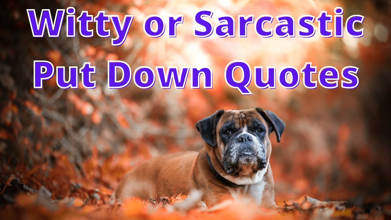 Witty or Sarcastic Put Down Quotes - YouTube