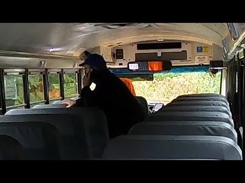School bus back seat ride - 2023 IC CE - YouTube