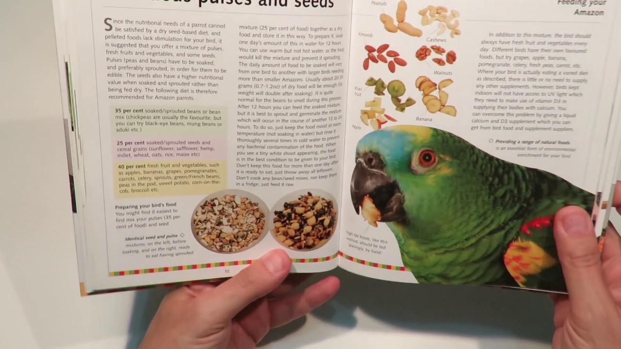 Recenzie: Birdkeeper's guide to Amazons, de Greg Glendell - YouTube