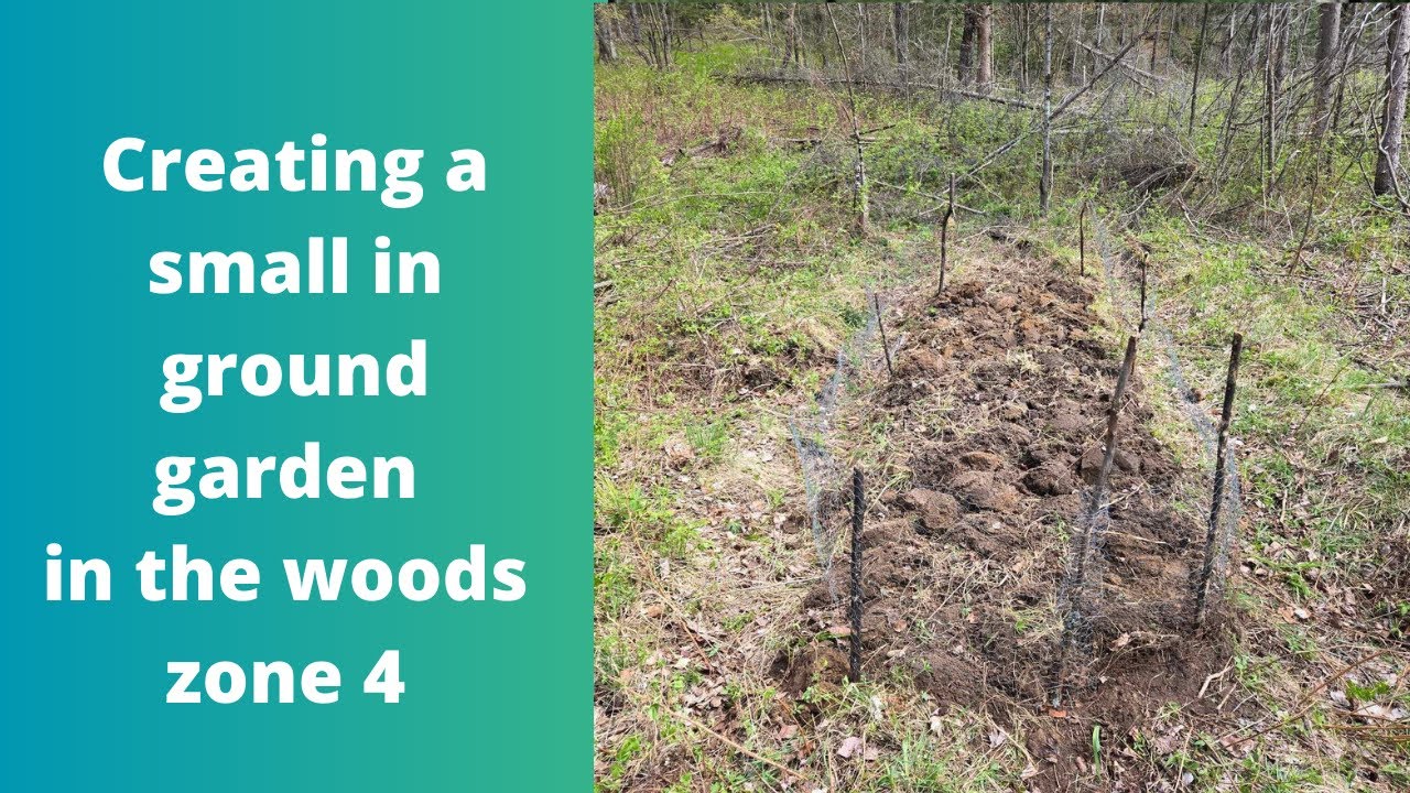 building a ground garden in the woods zone 4 - YouTube