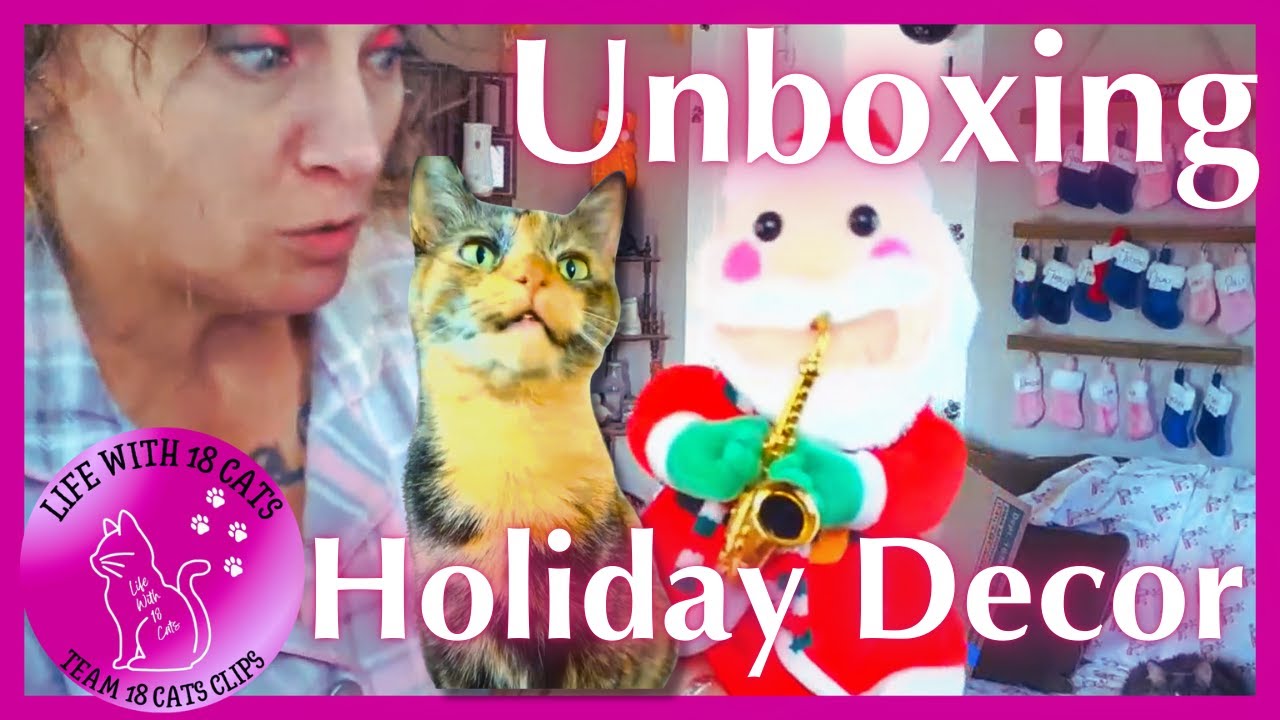 Unboxing For The Holiday! | Life With 18 Cats - YouTube